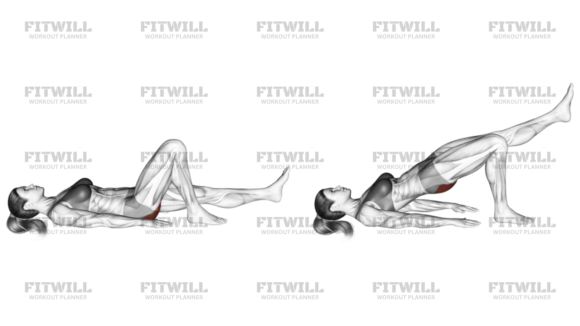 Glute Bridge One Leg On Floor (straight Leg): Exercise Guide ...