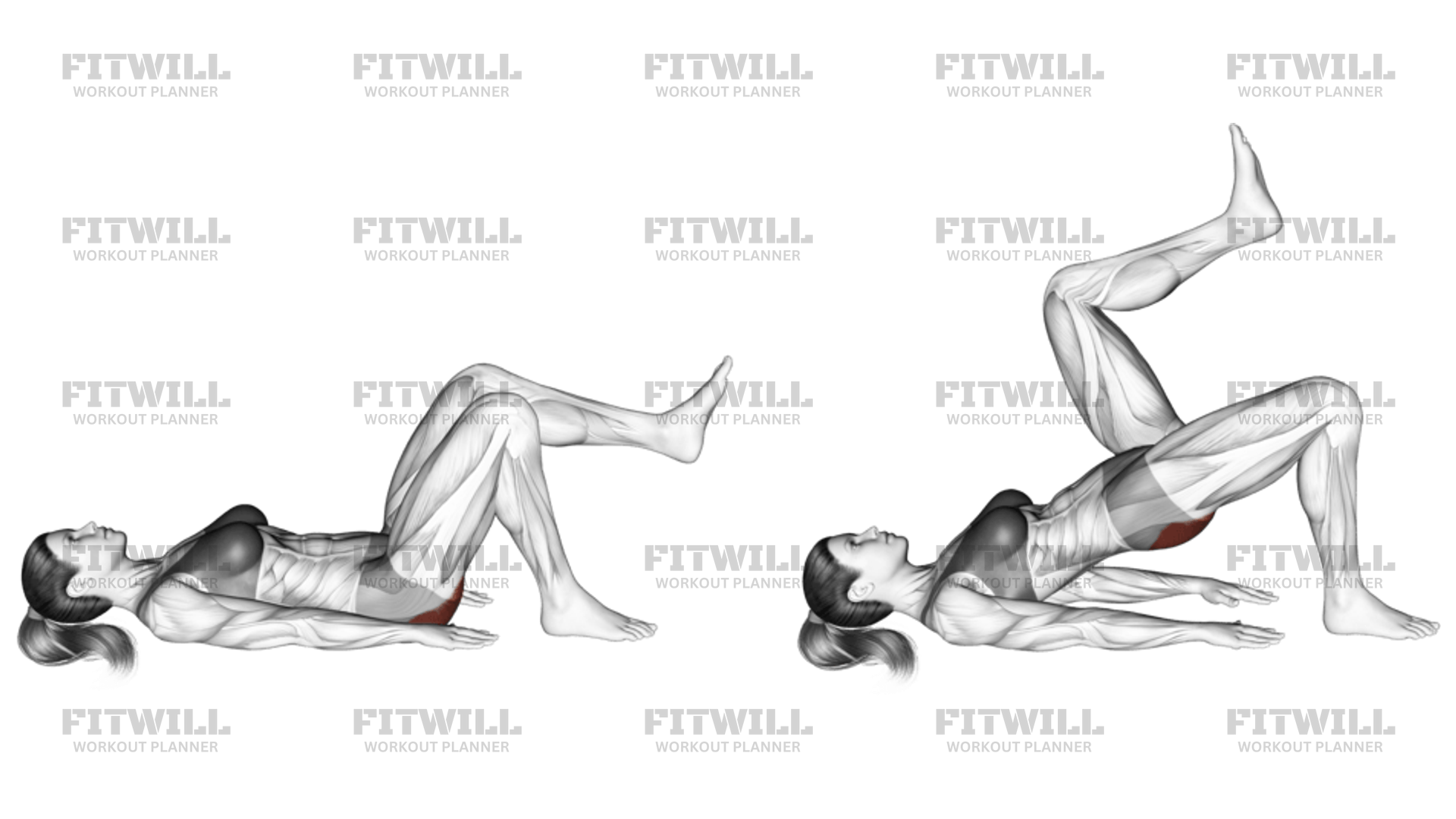 Glute Bridge One Leg On Floor (bent Knee): Exercise Guide, Video, Techniques, Benefits, How to ...