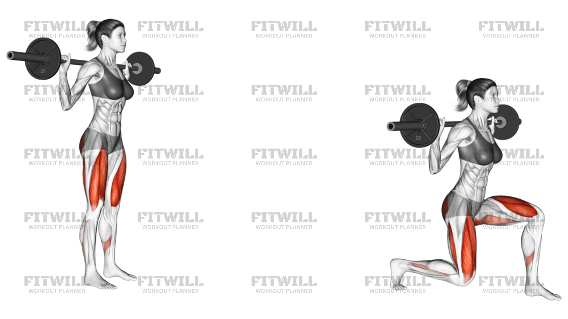 Barbell Lunge: Exercise Guide, Video, Techniques, Benefits, How to ...