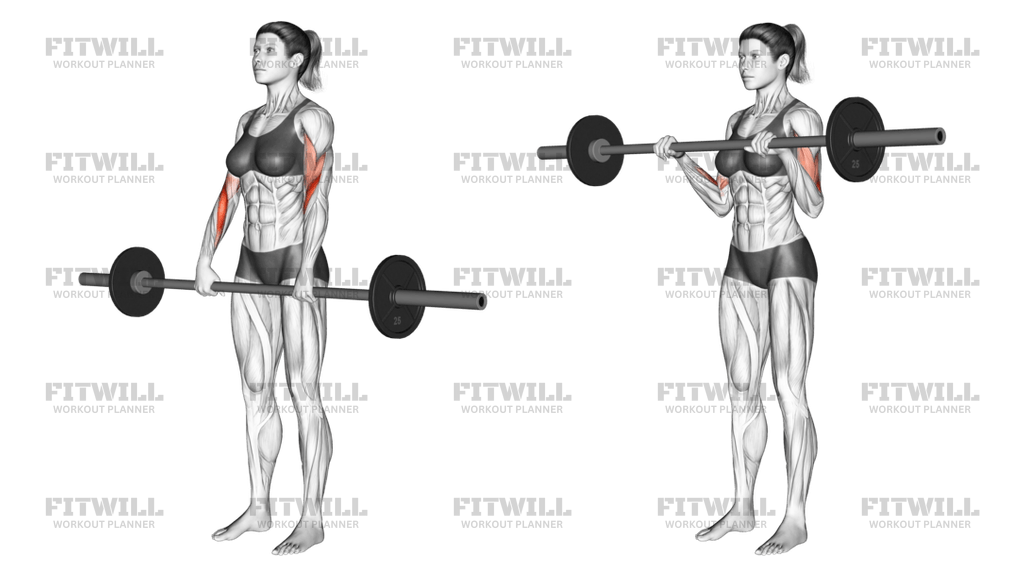 Barbell Reverse Curl: Exercise Guide, Video, Techniques, Benefits, How to, Muscles Worked, Tips ...
