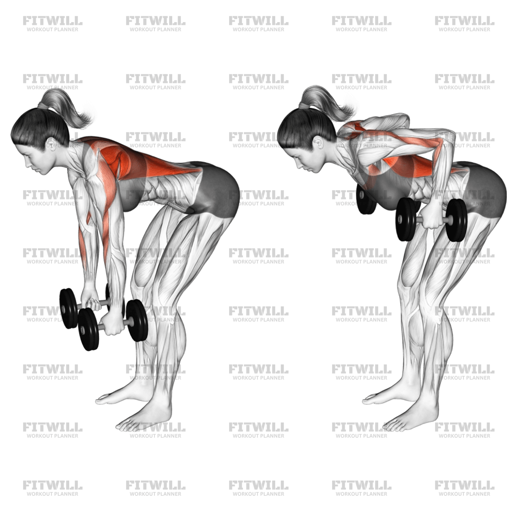 Dumbbell Bent Over Row: Exercise Guide, Video, Techniques, Benefits ...