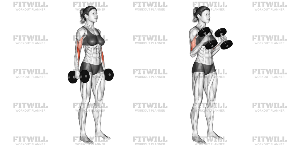 Dumbbell Hammer Curl: Exercise Guide, Video, Techniques, Benefits, How ...