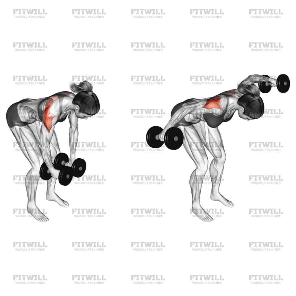 Dumbbell Rear Delt Fly: Exercise Guide, Video, Techniques, Benefits ...