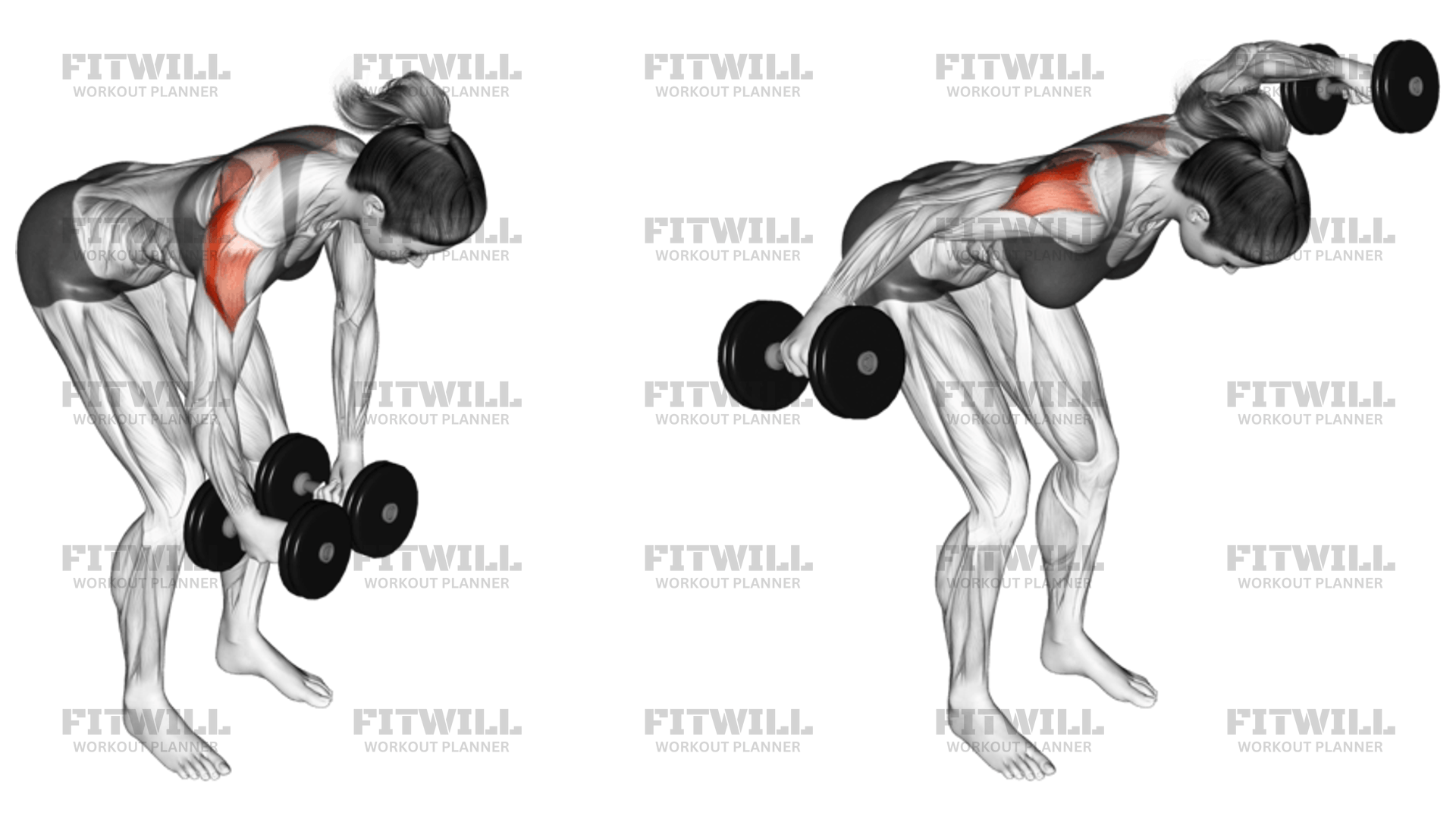 Dumbbell Rear Delt Fly: Exercise Guide, Video, Techniques, Benefits ...