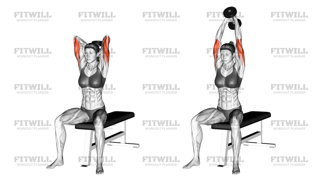 Dumbbell Seated Triceps Extension: Exercise Guide, Video, Techniques ...