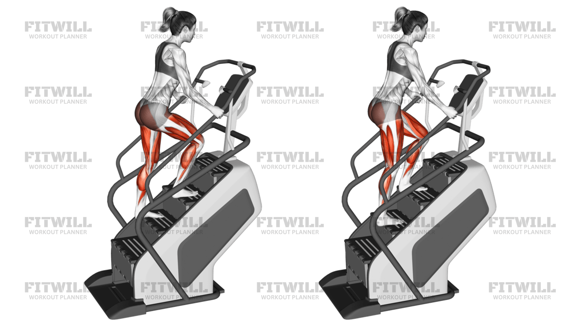 Walking On Stepmill: Exercise Guide, Video, Techniques, Benefits, How ...