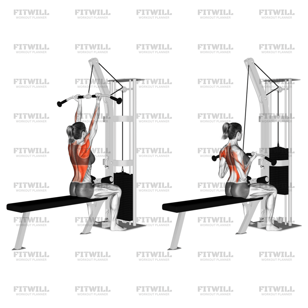 Cable Reverse Grip Pulldown: Exercise Guide, Video, Techniques, Benefits, How to, Muscles Worked ...