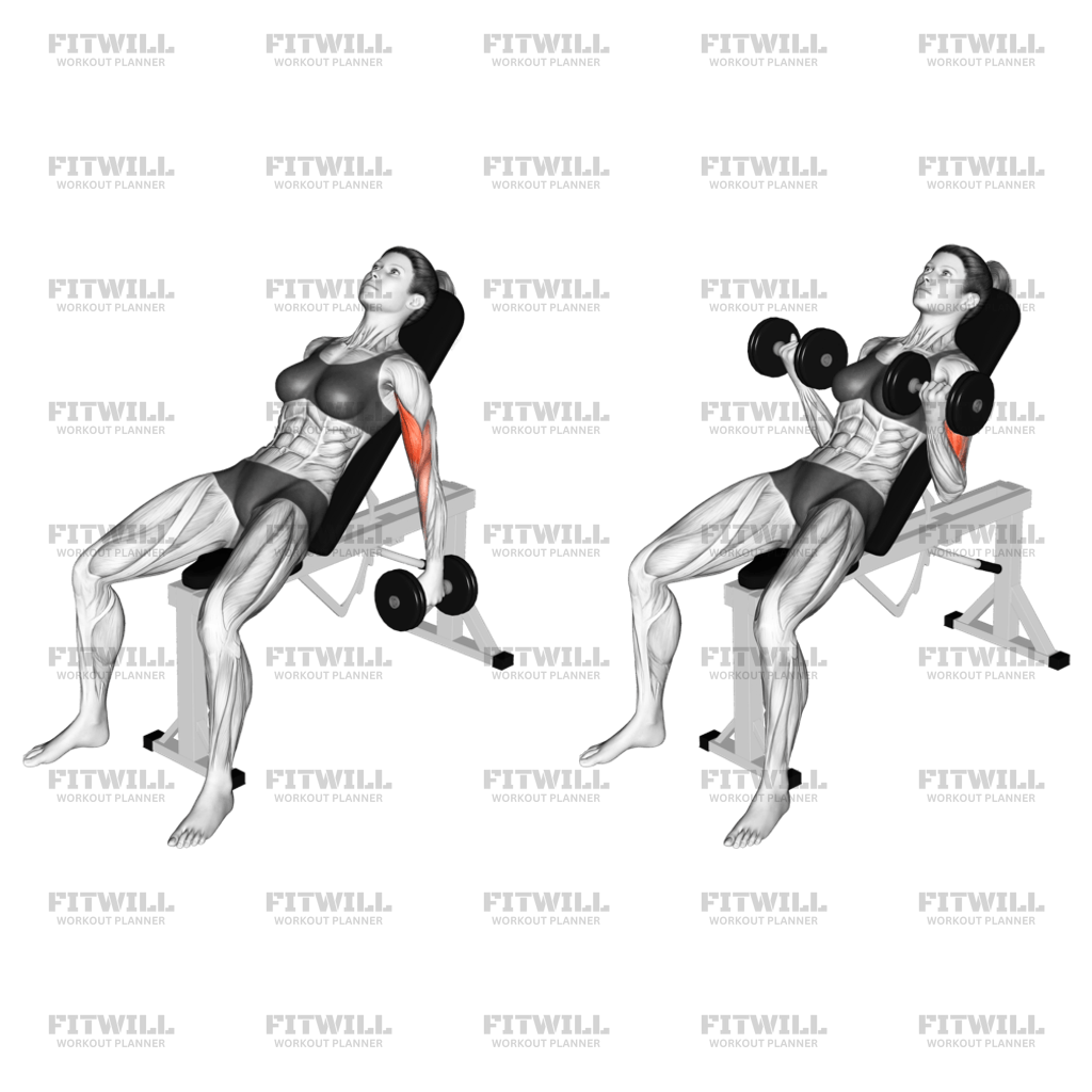 Dumbbell Incline Biceps Curl: Exercise Guide, Video, Techniques ...
