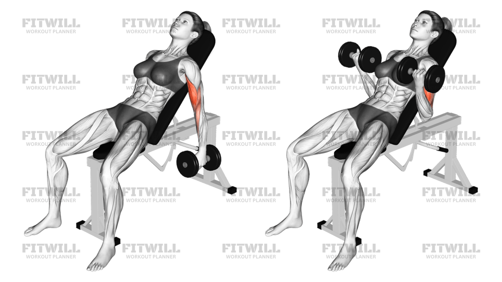 Dumbbell Incline Biceps Curl: Exercise Guide, Video, Techniques ...