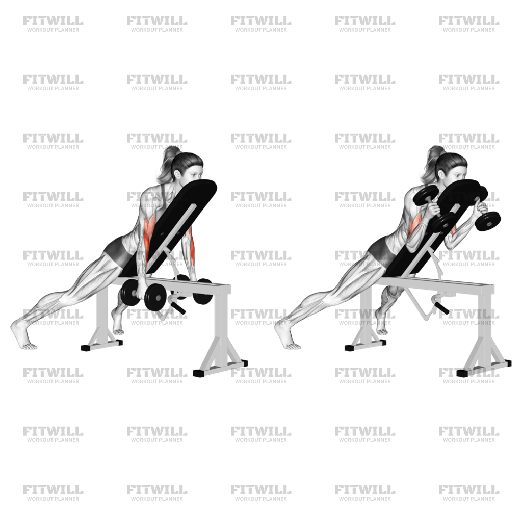 Dumbbell Prone Incline Hammer Curl: Exercise Guide, Video, Techniques ...