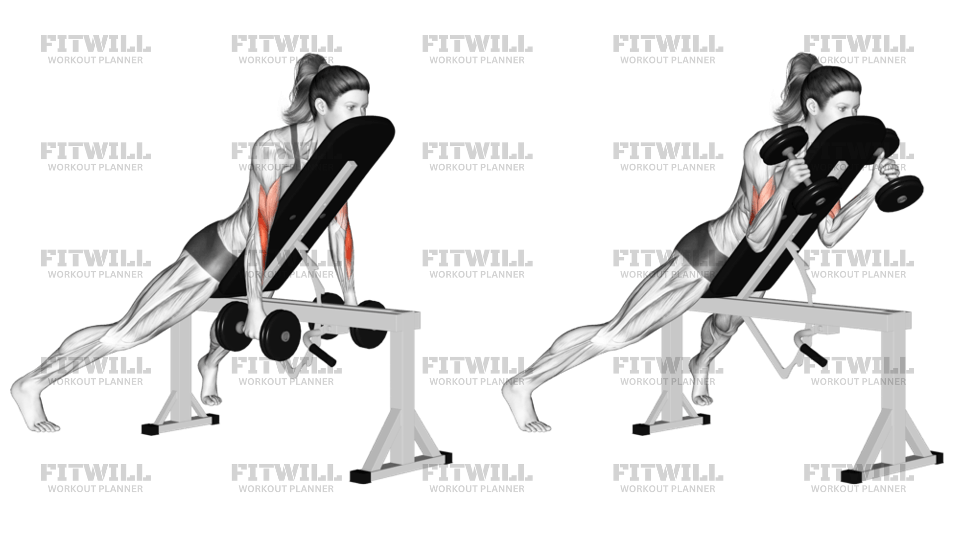 Dumbbell Prone Incline Hammer Curl Exercise Guide Video Techniques