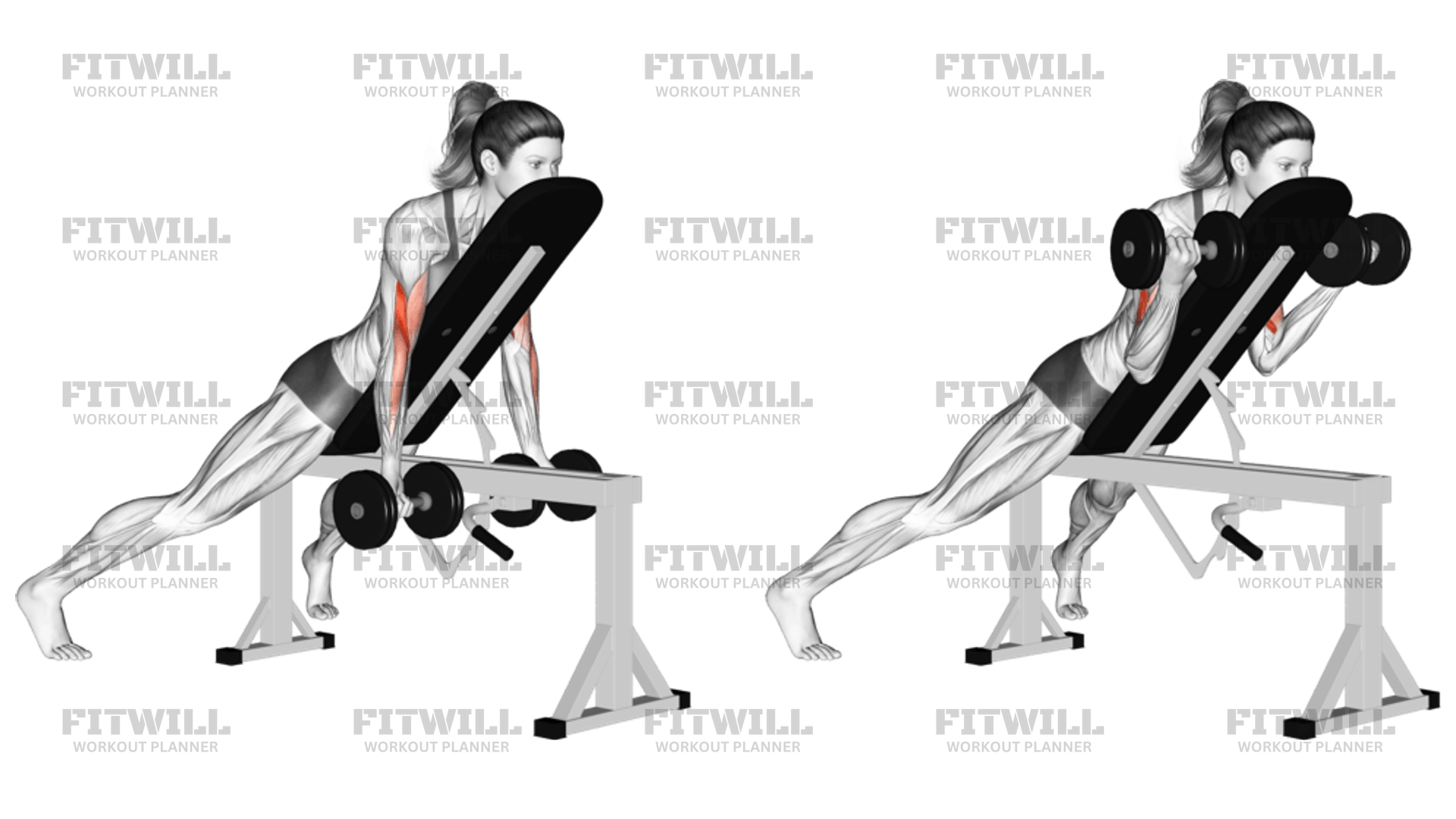 Dumbbell Prone Incline Curl: Exercise Guide, Video, Techniques ...