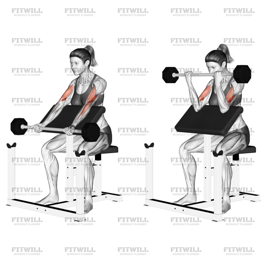 Rosca Scott Com Barra: Guia de Exercícios, Vídeo, Técnicas, Benefícios ...