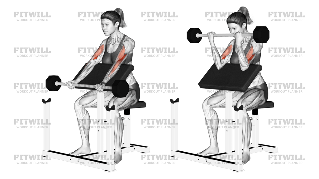 Barbell Preacher Curl: Exercise Guide, Video, Techniques, Benefits, How ...