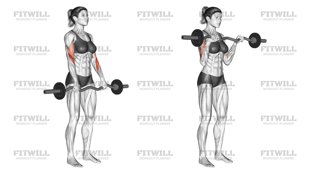 EZ Barbell Reverse Grip Curl: Exercise Guide, Video, Techniques, Benefits, How to, Muscles ...