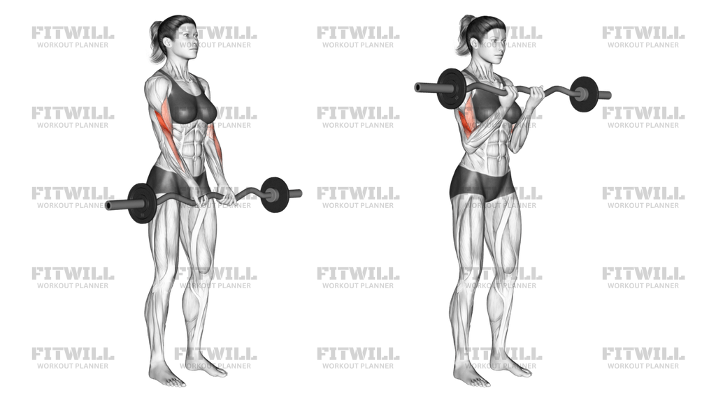 Curl Con Agarre Cerrado En Barra EZ: Guía de Ejercicios, Video, Técnicas, Beneficios, Cómo ...
