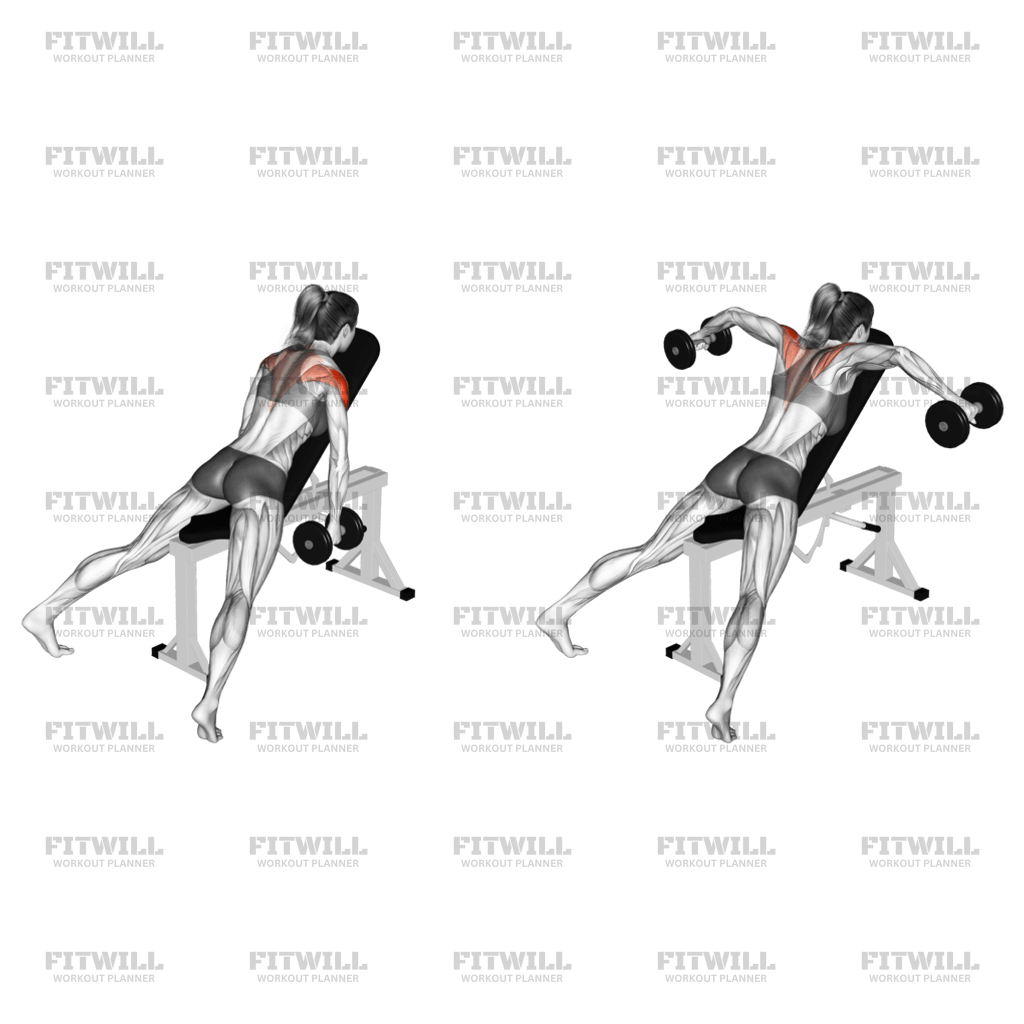 Dumbbell Incline Rear Fly: Exercise Guide, Video, Techniques, Benefits ...