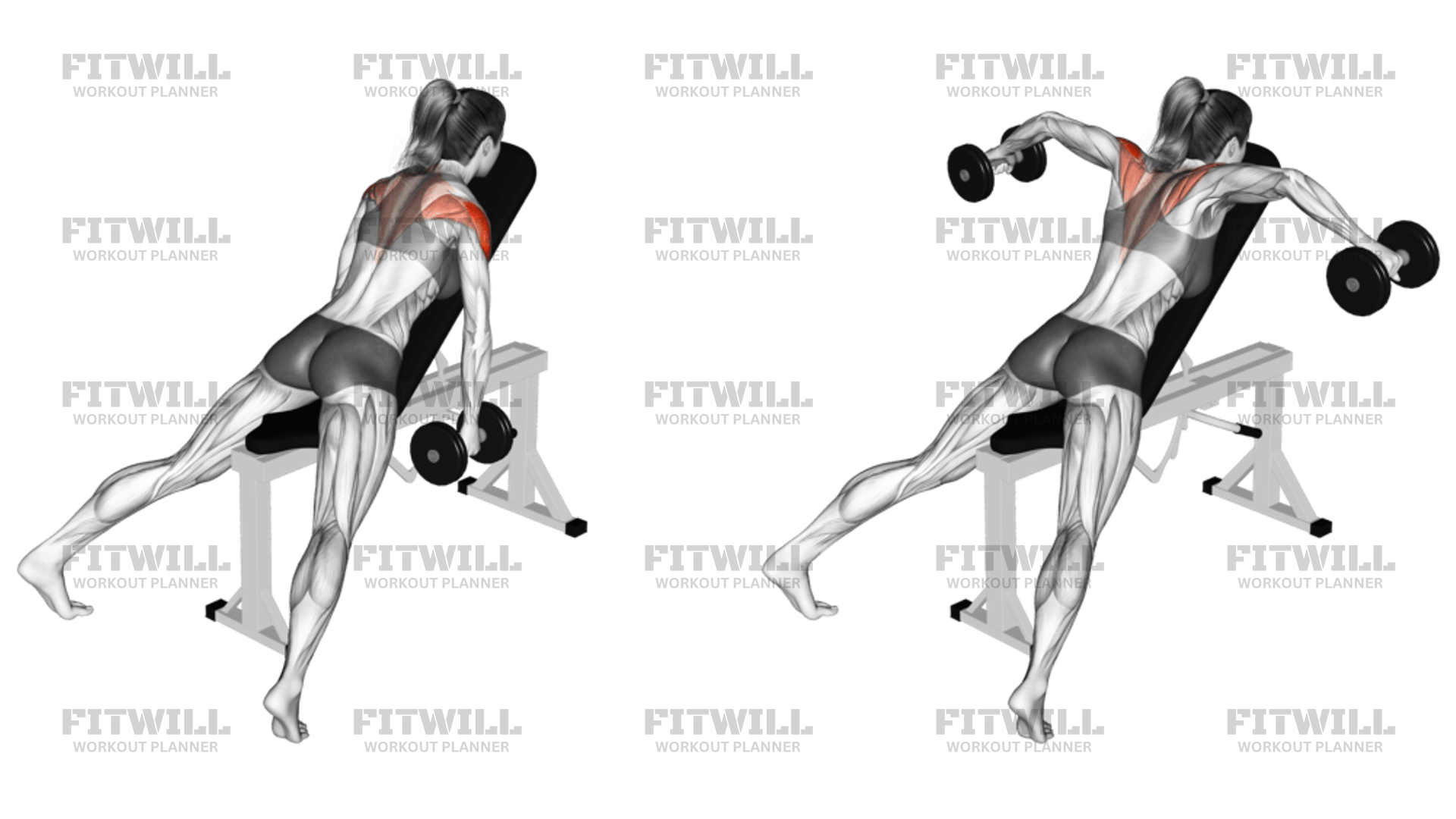 Dumbbell Incline Rear Fly: Exercise Guide, Video, Techniques, Benefits ...