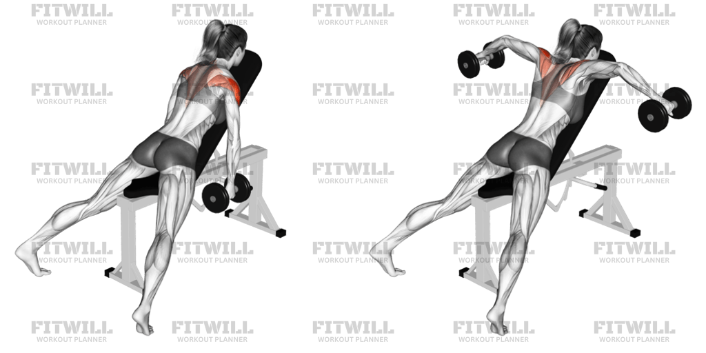 Dumbbell Incline Rear Fly: Exercise Guide, Video, Techniques, Benefits ...