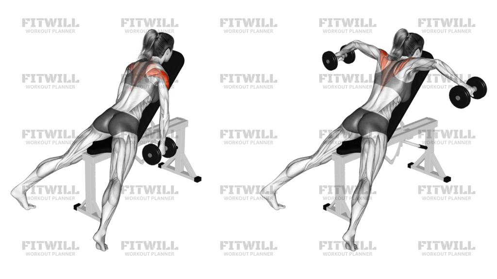 Dumbbell Incline Rear Fly: Exercise Guide, Video, Techniques, Benefits ...