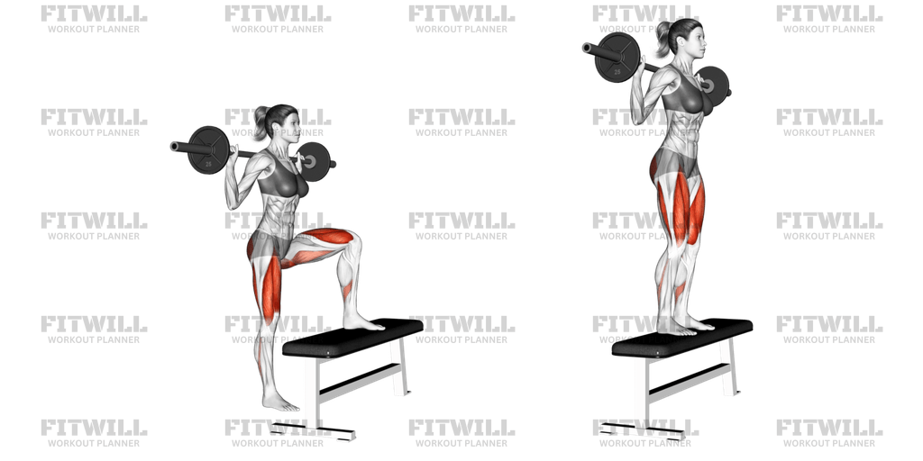 Barbell Step Up: Exercise Guide, Video, Techniques, Benefits, How to, Muscles Worked, Tips ...
