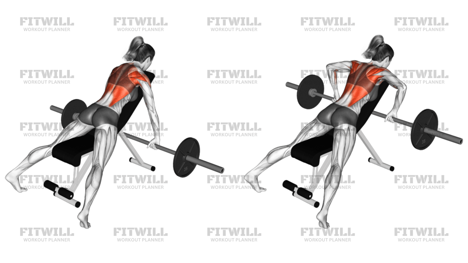 Barbell Incline Row: Exercise Guide, Video, Techniques, Benefits, How ...