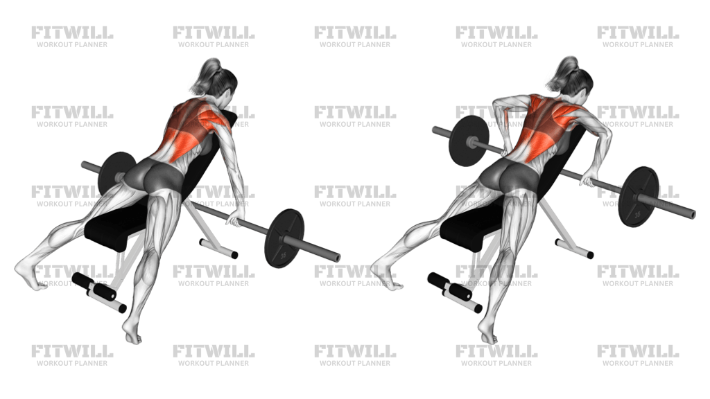 Remo Inclinado Con Barra: Guía de Ejercicios, Video, Técnicas ...