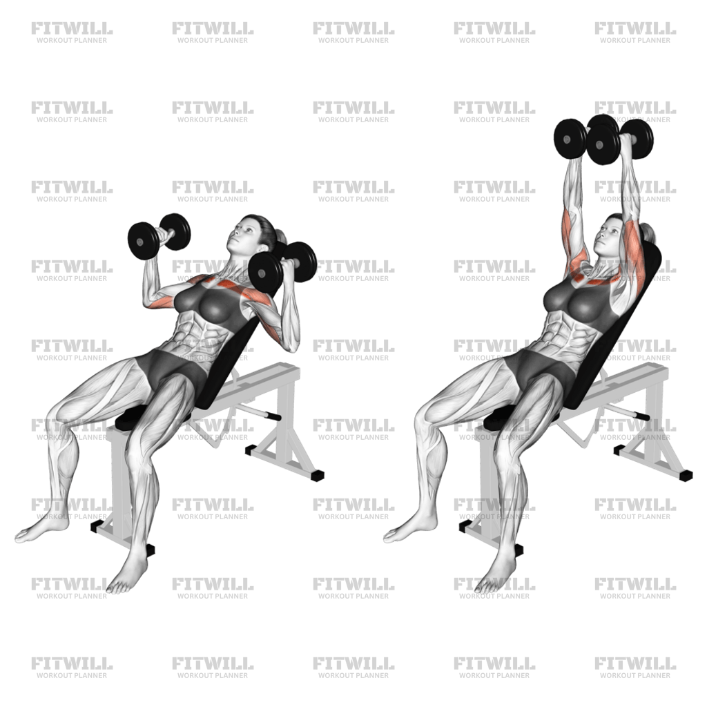 Supino Inclinado Com Halteres Em Pegada Neutra: Guia de Exercícios ...