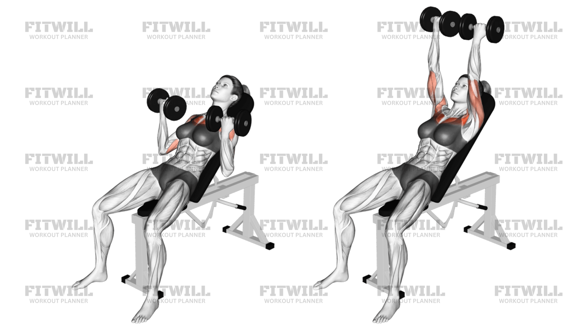 Dumbbell Incline Palm In Press: Exercise Guide, Techniques, Benefits ...