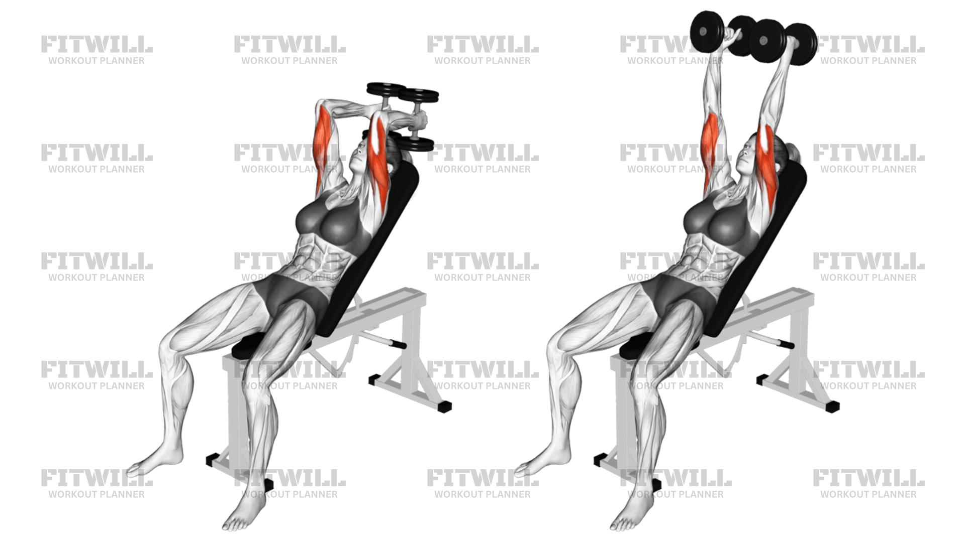 Dumbbell Incline Triceps Extension: Exercise Guide, Video, Techniques ...