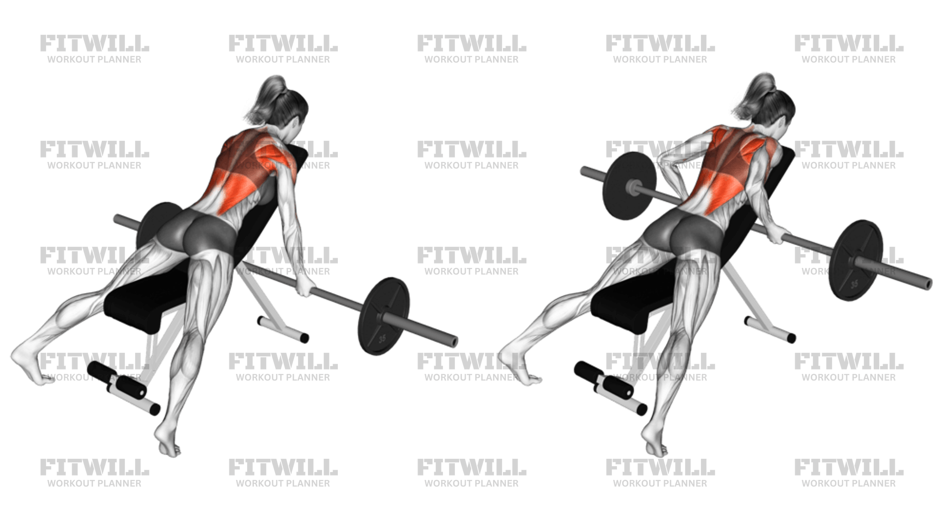 Remo Inclinado Con Barra Y Agarre Supino: Guía de Ejercicios, Técnicas ...