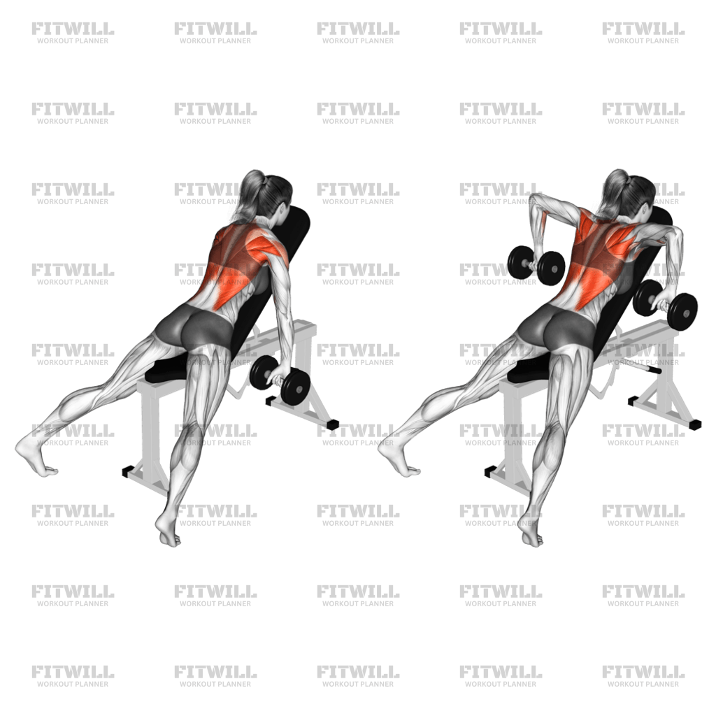 Dumbbell Incline Row: Guide, Techniques, Benefits, How to, Muscles ...