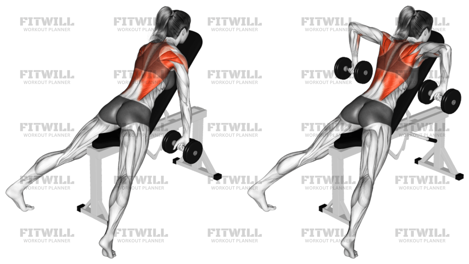 Dumbbell Incline Row: Exercise Guide, Video, Techniques, Benefits, How ...