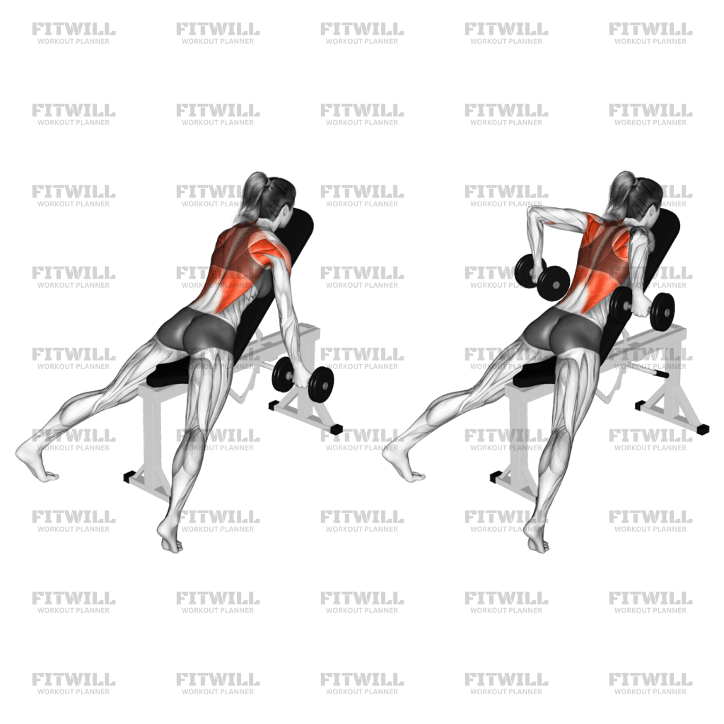Dumbbell Reverse Grip Incline Row: Exercise Guide, Video, Techniques ...