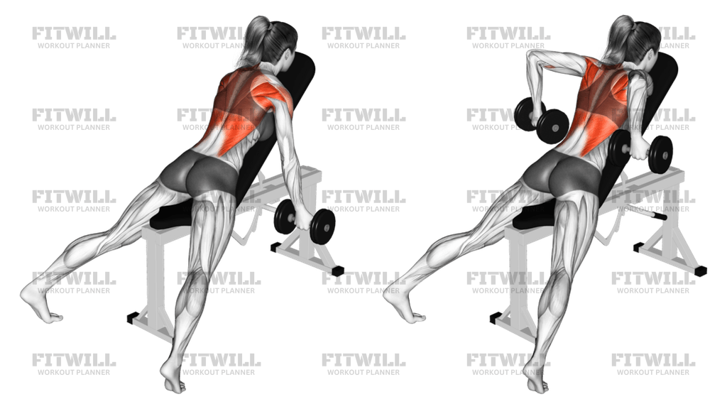 Dumbbell Reverse Grip Incline Row: Exercise Guide, Video, Techniques ...