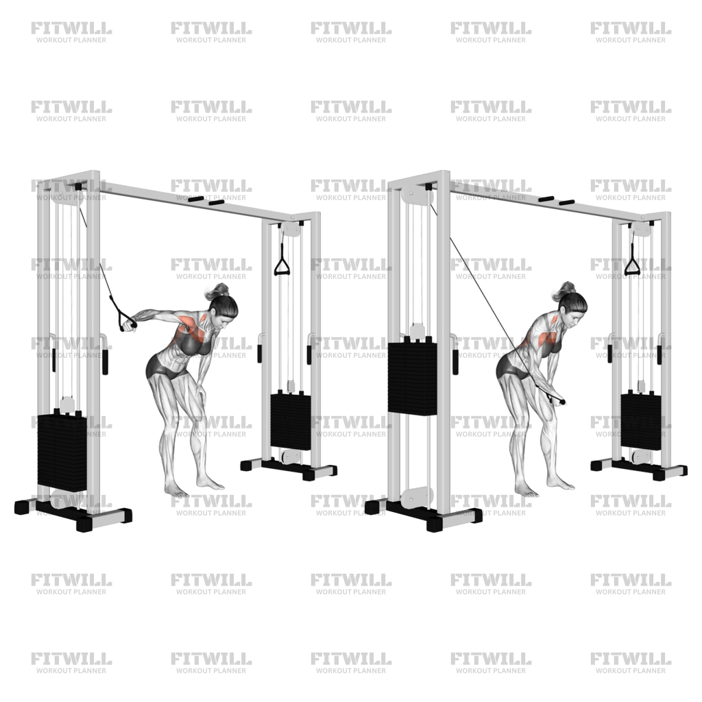 Enarms Kabeløvelse For Lateral Deltoid I Fremoverbøyd Posisjon ...