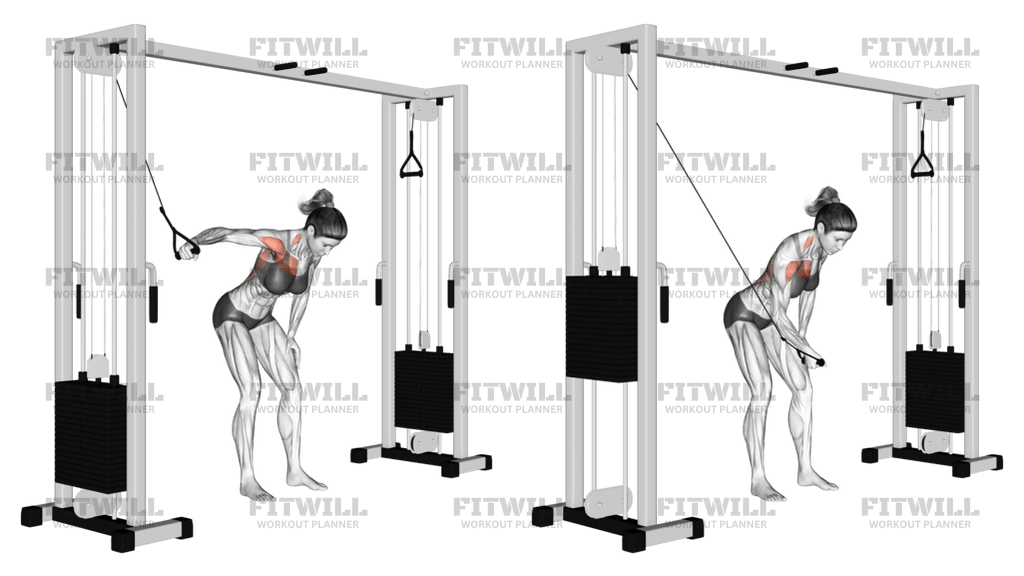 How to do Cable One Arm Lateral Bent over: Techniques, Benefits, Tips ...