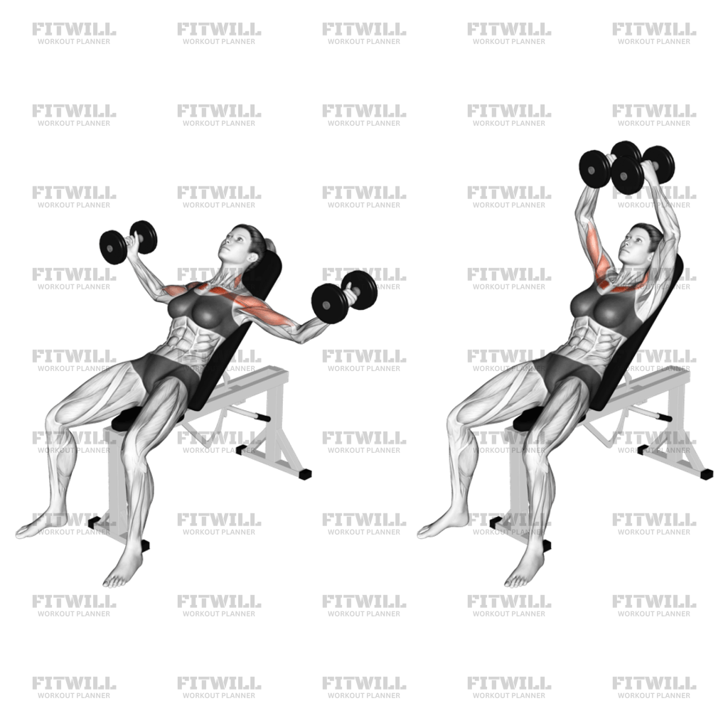 Dumbbell Incline Fly: Exercise Guide, Video, Techniques, Benefits, How ...