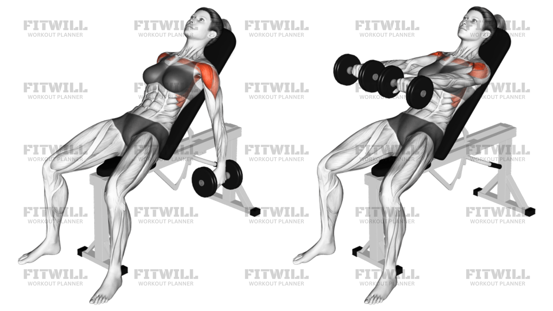 Dumbbell Incline Raise: Exercise Guide, Techniques, Benefits, How to ...
