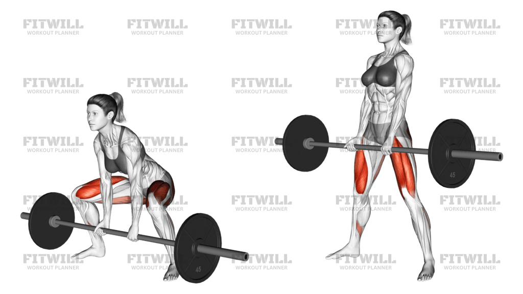 Barbell Sumo Deadlift: Exercise Guide, Video, Techniques, Benefits, How ...