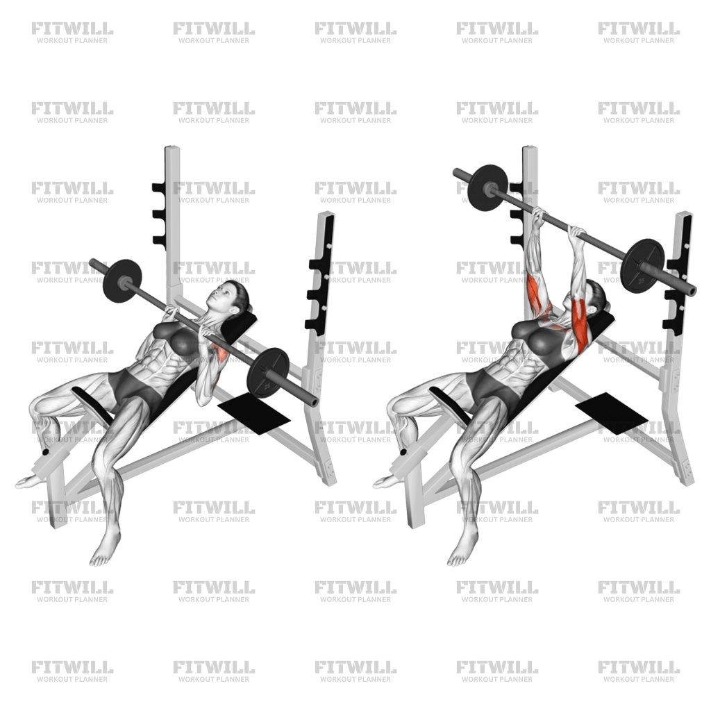 Press De Banca Inclinado Con Barra Y Agarre Cerrado: Guía de Ejercicios, Técnicas, Beneficios ...