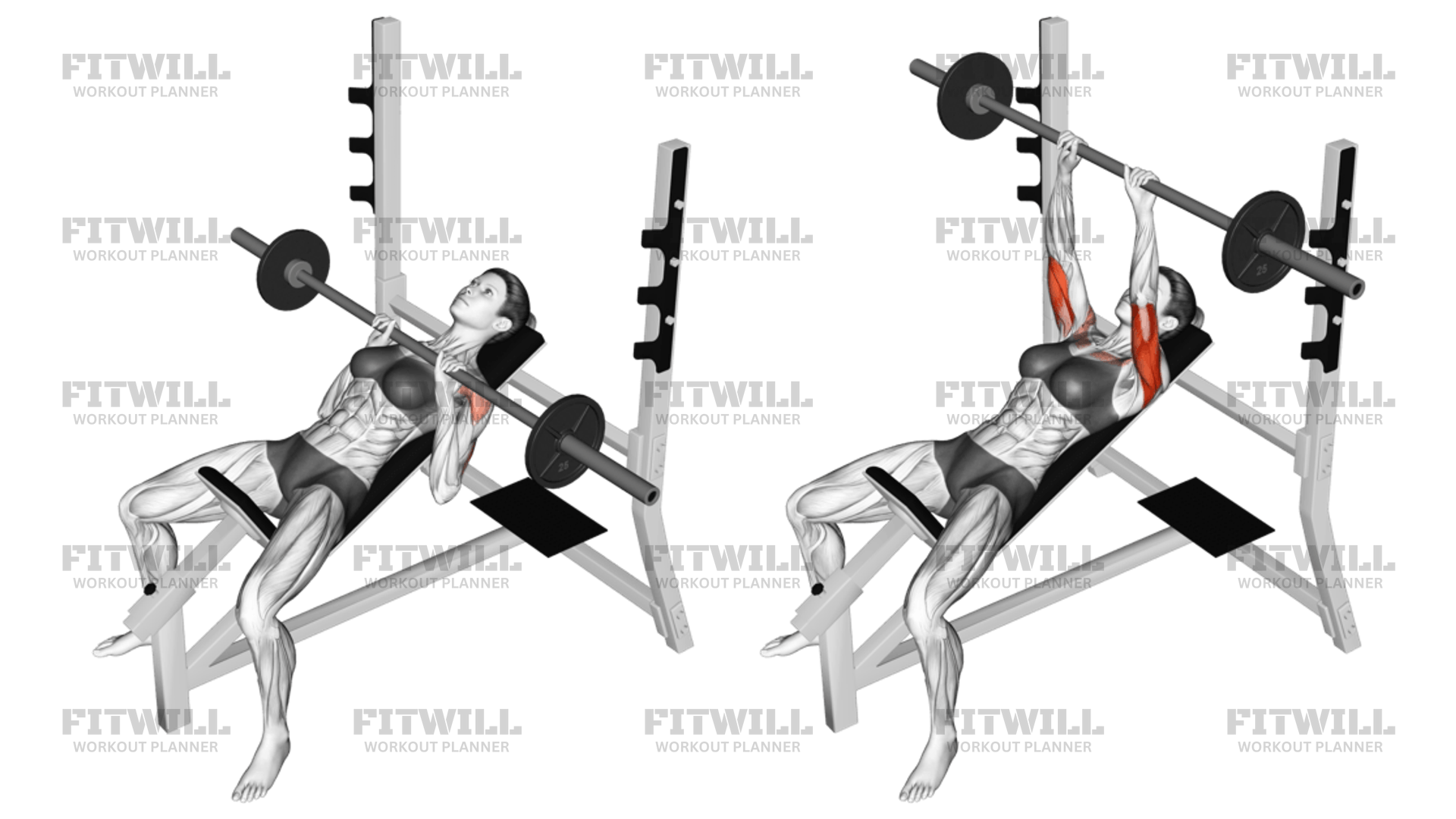 Barbell Incline Close Grip Bench Press: Guide, Techniques, Benefits ...