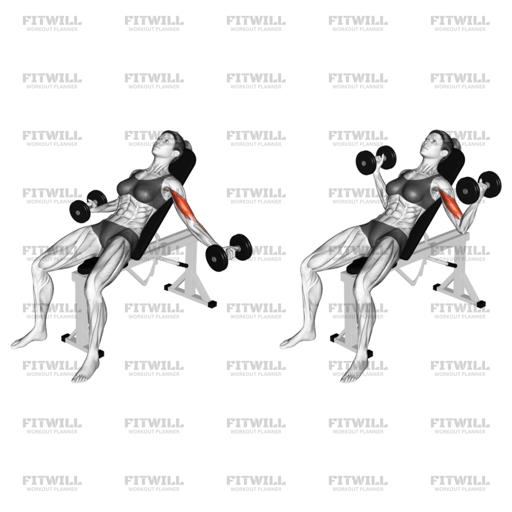 Dumbbell Incline Inner Biceps Curl: Exercise Guide, Techniques ...