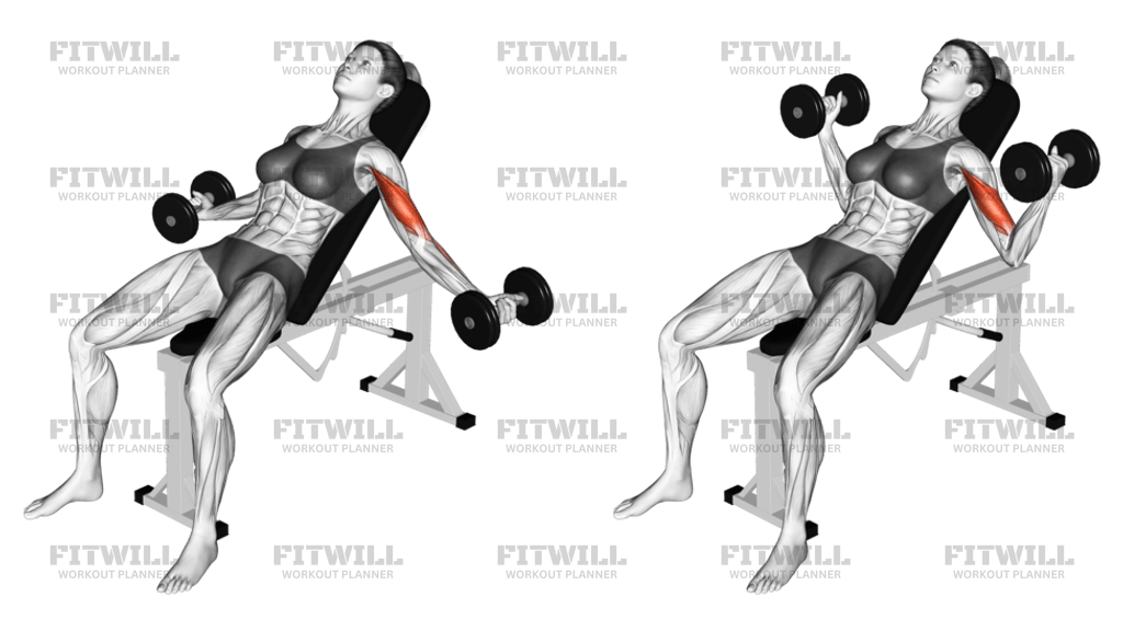 How to do Dumbbell Incline Inner Biceps Curl: Techniques, Benefits ... How to do Dumbbell Incline Inner Biceps Curl: Techniques, Benefits ...