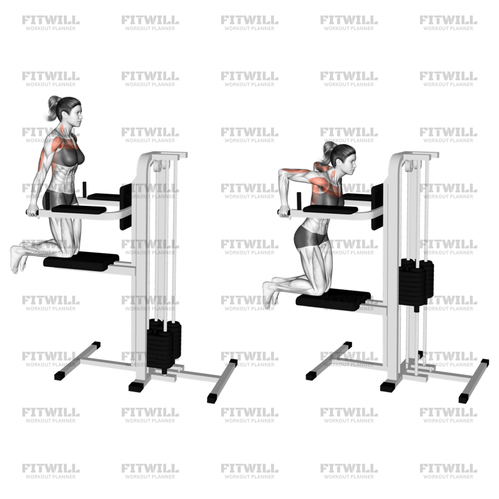 Assisted Chest Dip (kneeling): Exercise Guide, Techniques, Benefits ...