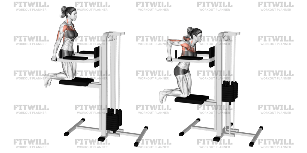 Assisted Chest Dip (kneeling): Exercise Guide, Techniques, Benefits ...