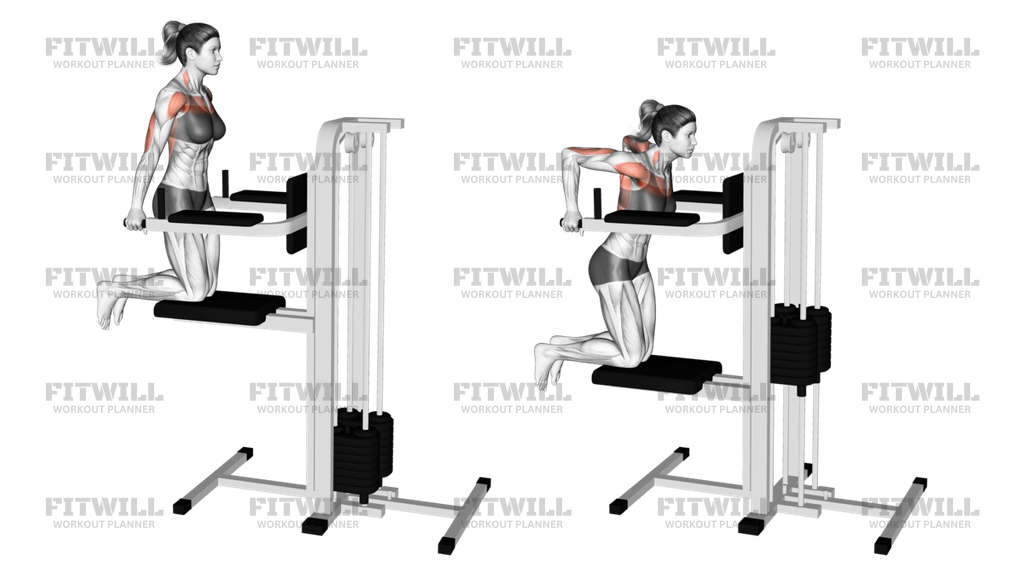 Assisted Chest Dip (kneeling): Exercise Guide, Techniques, Benefits ...