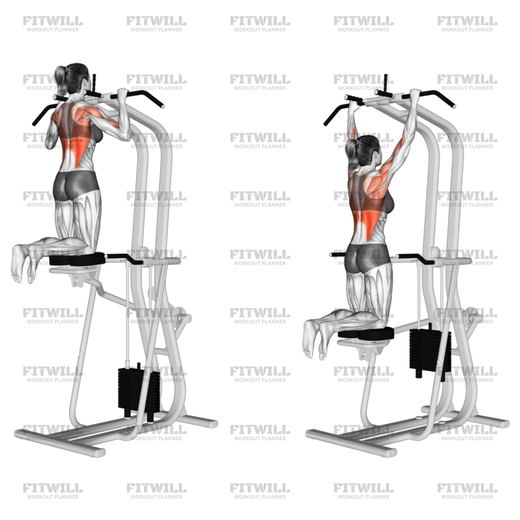 Assisted Pull Up: Exercise Guide, Video, Techniques, Benefits, How to, Muscles Worked, Tips ...