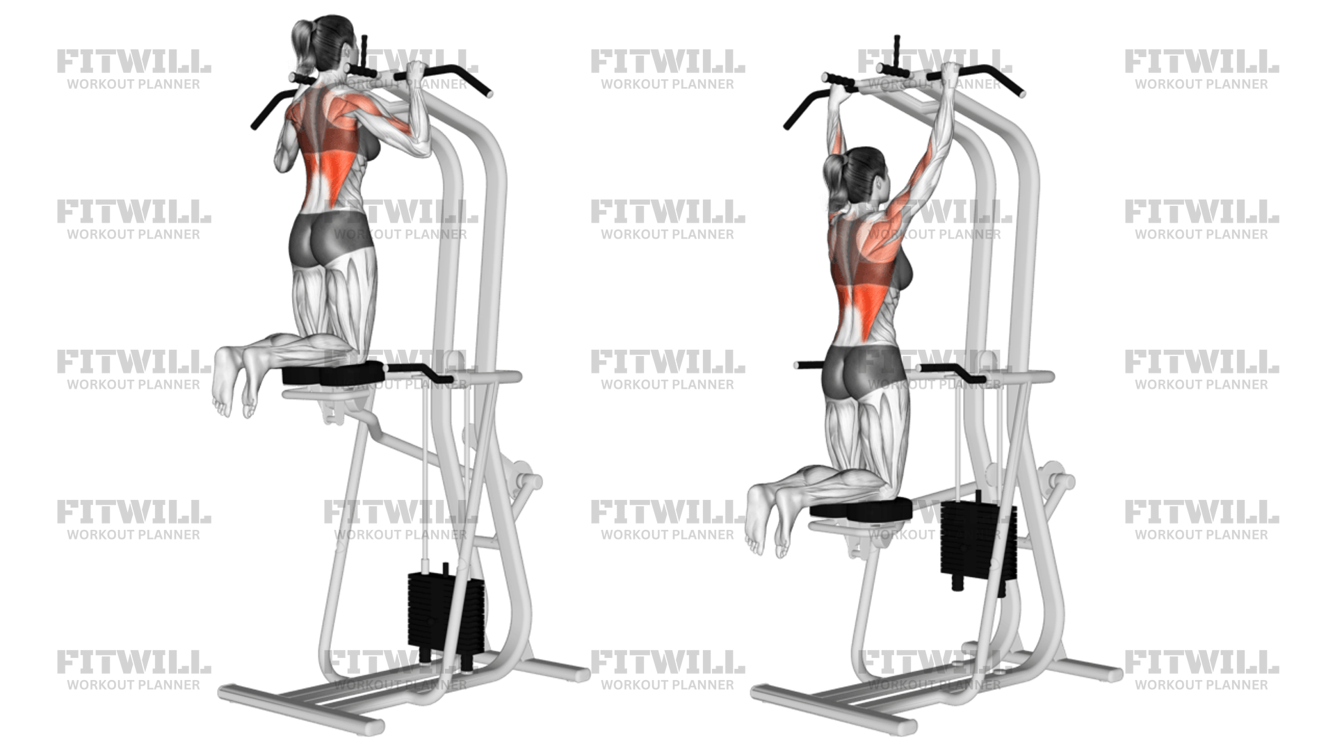 Assisted Pull Up: Exercise Guide, Video, Techniques, Benefits, How to ...