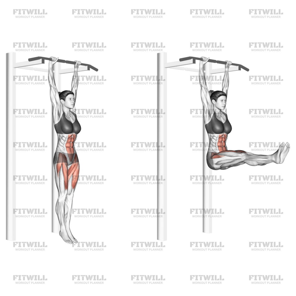 Hanging Straight Leg Raise: Exercise Guide, Video, Techniques, Benefits ...